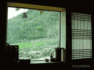 Rainy Window GIF - Find & Share on GIPHY