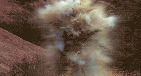 Explosion GIF - Find & Share on GIPHY