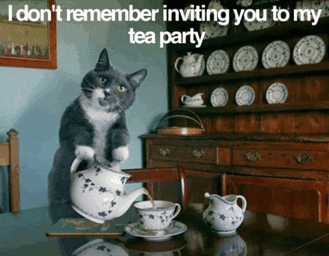 Tea Party Cat GIF - Find & Share on GIPHY