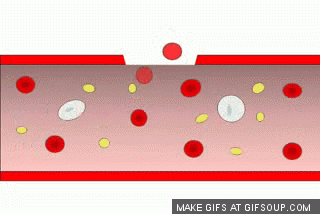 Blood GIF - Find & Share on GIPHY