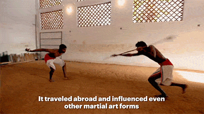 Martial Arts India GIF by Digg - Find & Share on GIPHY