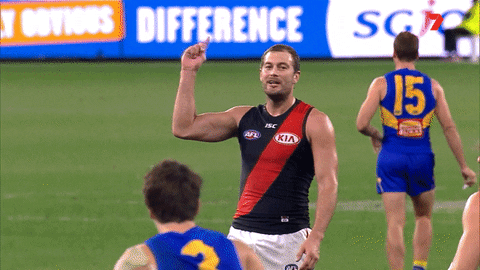 Happy Sport GIF by Essendon FC - Find & Share on GIPHY