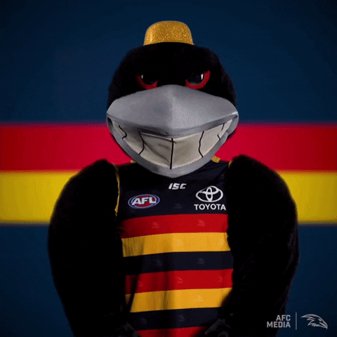 Party Afl GIF by Adelaide Crows - Find & Share on GIPHY