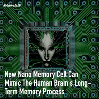 System Shock Memes