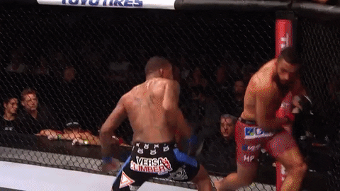 Ufc Mma GIF - Find & Share on GIPHY