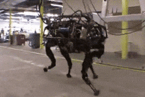 Prototype GIFs - Get the best GIF on GIPHY