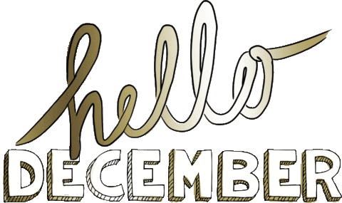 Festival December Sticker for iOS & Android | GIPHY