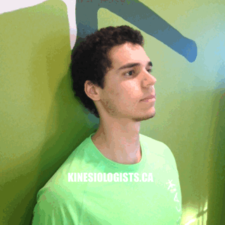 Neck GIF - Find & Share on GIPHY