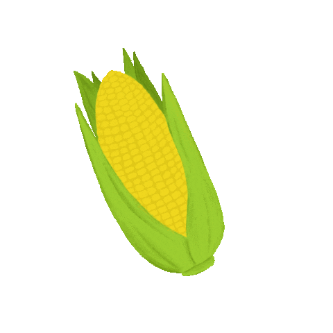 Corn Veggie Sticker for iOS & Android | GIPHY
