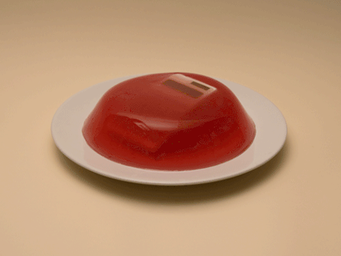 Jelly GIFs - Find & Share on GIPHY