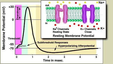 Action GIFs - Find & Share on GIPHY