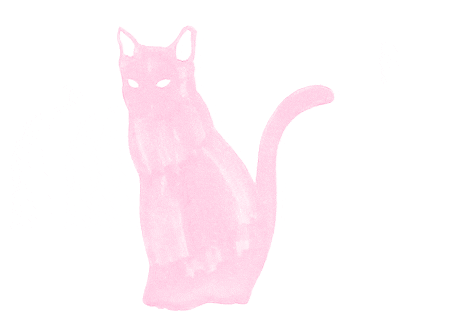 Cat Pink GIF - Find & Share on GIPHY