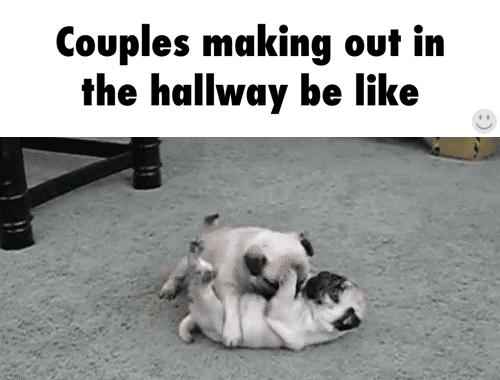 Making Out GIFs - Find & Share on GIPHY