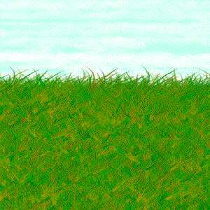 Grass GIF - Find & Share on GIPHY