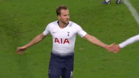 Football Come On You Spurs GIF by Tottenham Hotspur - Find & Share on GIPHY