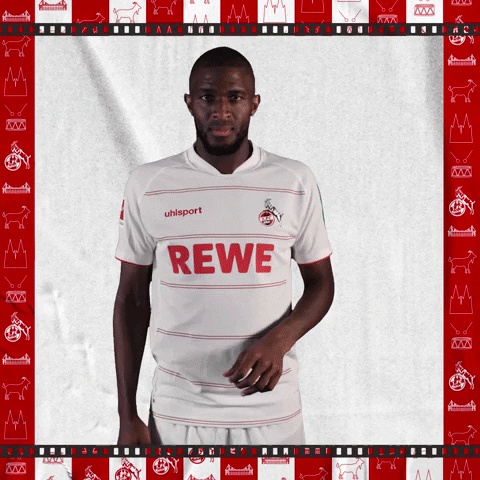 1 Fc Cologne Football GIF by 1. FC Köln - Find & Share on GIPHY