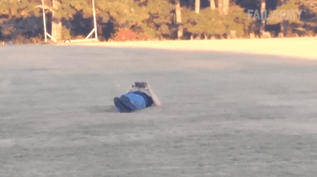 Target GIF - Find & Share on GIPHY