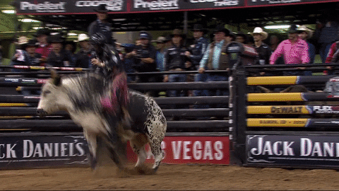 Hold On Bull Riding GIF by Professional Bull Riders (PBR) - Find ...