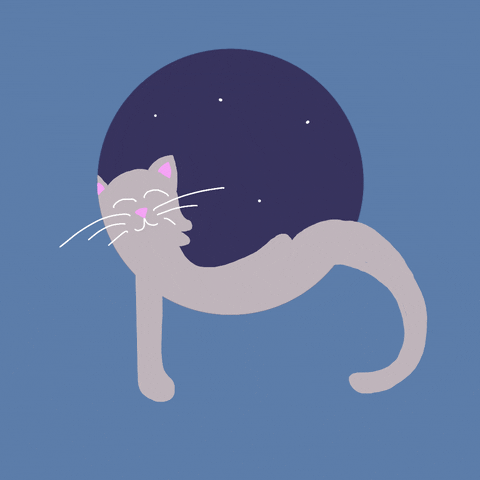 Loop Cartoon GIF by Leofine - Find & Share on GIPHY