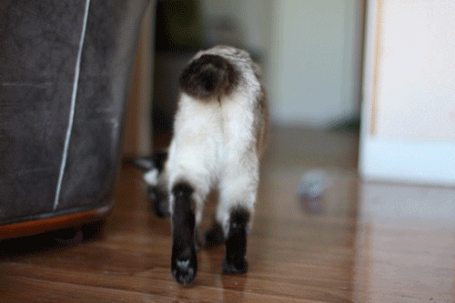 Queue GIF - Find & Share on GIPHY