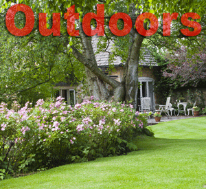 Outdoors GIF - Find & Share on GIPHY