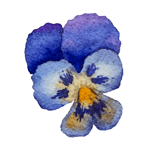 Vintage Flowers Sticker for iOS & Android | GIPHY