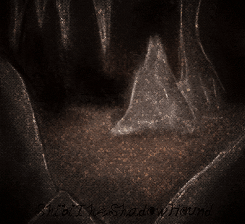 Shiny GIF - Find & Share on GIPHY