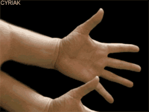 Hand GIF - Find & Share on GIPHY
