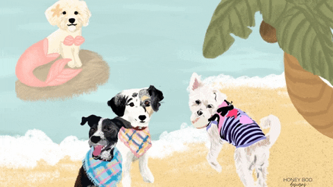 Beach Dogs GIF by Honey Boo Designs - Find & Share on GIPHY