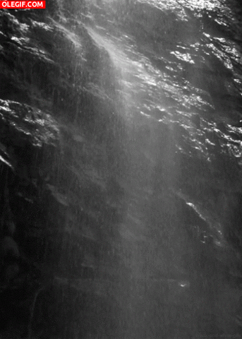 Roca GIFs - Find & Share on GIPHY