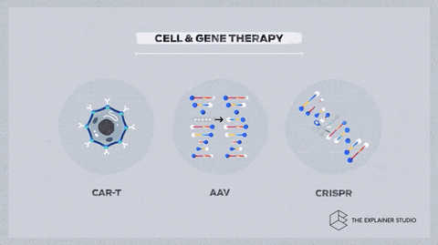 Animation Gene Therapy GIF by The Explainer Studio - Find & Share on GIPHY