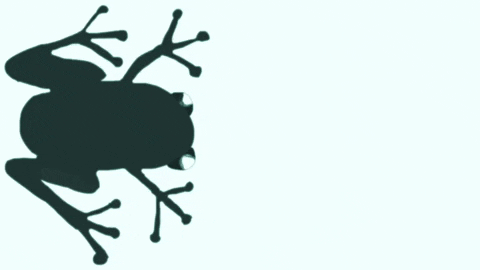 Jump In Water GIF by Barbara Pozzi - Find & Share on GIPHY