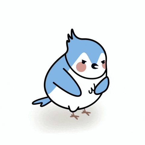 Mad Blue Jay GIF - Find & Share on GIPHY