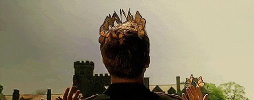 David And Goliath GIFs - Find & Share on GIPHY