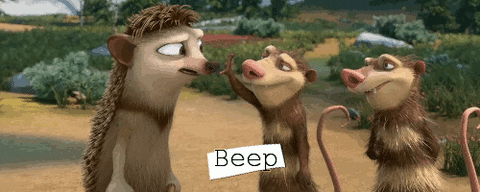Beep GIFs - Find & Share on GIPHY