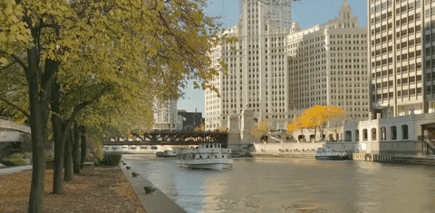 Chicago Illinois GIF - Find & Share on GIPHY
