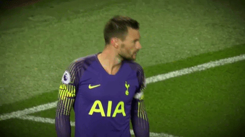 GIF by Tottenham Hotspur - Find & Share on GIPHY