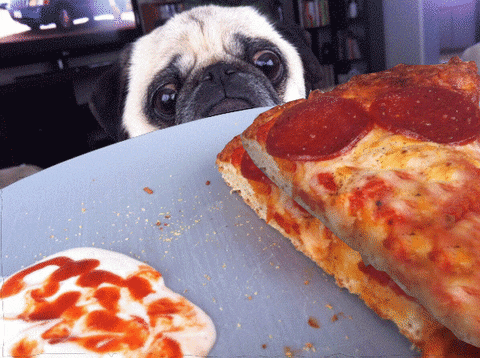 Pizza GIF - Find & Share on GIPHY