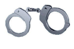 Transparent GIF Sticker - Find & Share on GIPHY