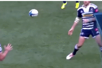 Rugby GIF - Find & Share on GIPHY