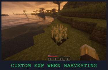 ♻️ Advanced Experience ⭕ Deduc Exp While Flying ⭐ Create Custom Exp ...