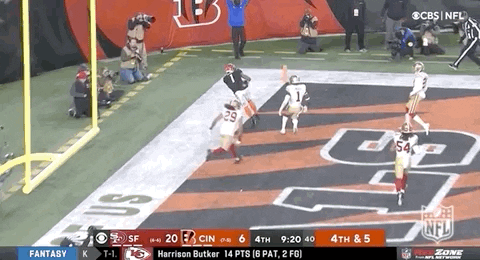 Cincinnati Bengals Football GIF by NFL - Find & Share on GIPHY