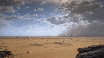 Blowing Sand GIF - Find & Share on GIPHY