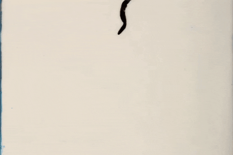 Animation Paint On Glass GIF by Cassie Shao - Find & Share on GIPHY