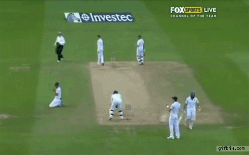 Cricket GIF - Find & Share on GIPHY