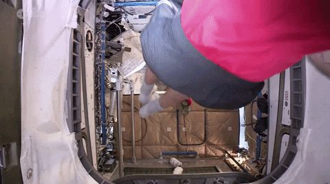 European Space Agency Running GIF - Find & Share on GIPHY