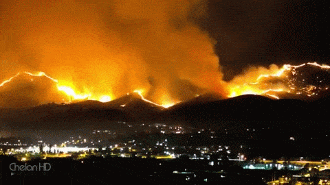 Fox News GIF - Find & Share on GIPHY