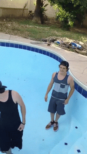 Pool GIF - Find & Share on GIPHY