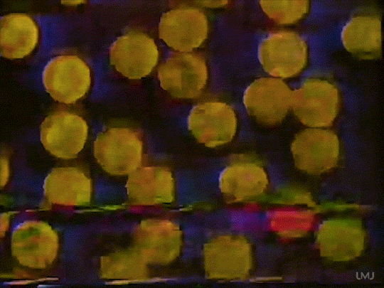 80'S Vintage GIF by vhspositive - Find & Share on GIPHY