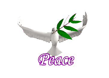 Dove Sticker for iOS & Android | GIPHY